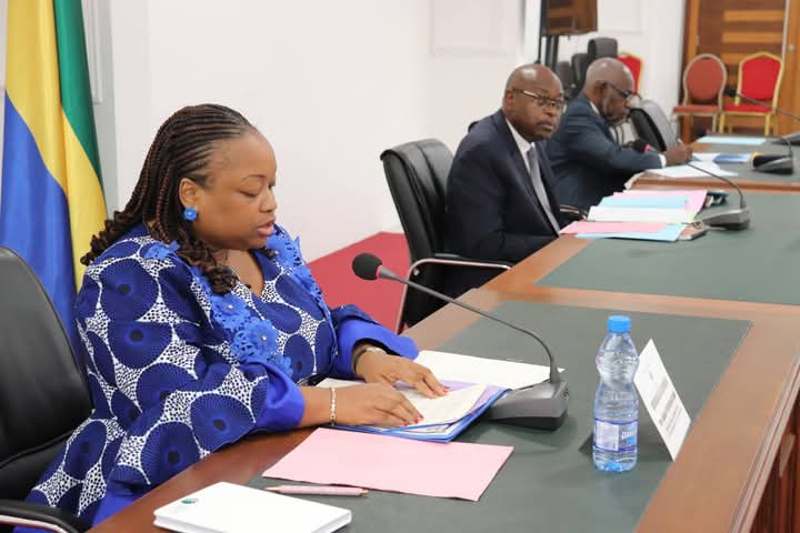 Réforme du Système Éducatif au Gabon : Quatre Nouvelles Lois – GABON ...